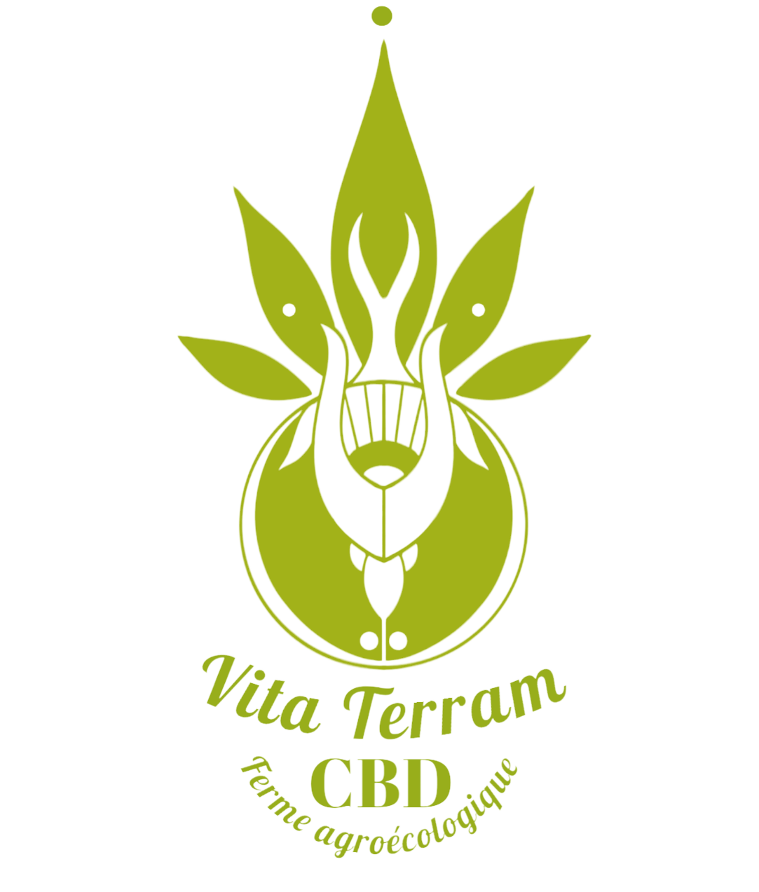 Vita Terram - CBD Paysan 100% Naturel Made in France 🇫🇷